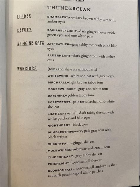 Shadow Error Rwarriorcats