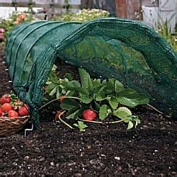 Garden Netting And Plant Protection