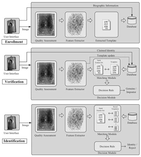 1 Biometric System Stages In Enrollment The Features Are Extracted