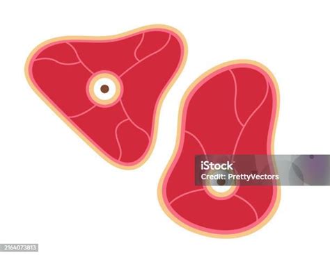 절단 육류 조성 고립 개념 벡터 평면 그래픽 디자인 만화 일러스트 레이 션 개념에 대한 스톡 벡터 아트 및 기타 이미지 개념 건강한 식생활 고기 Istock