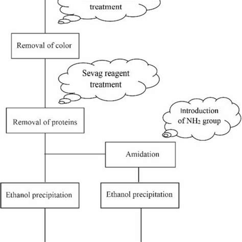 Purification And Modification Of Ccfp Download Scientific Diagram