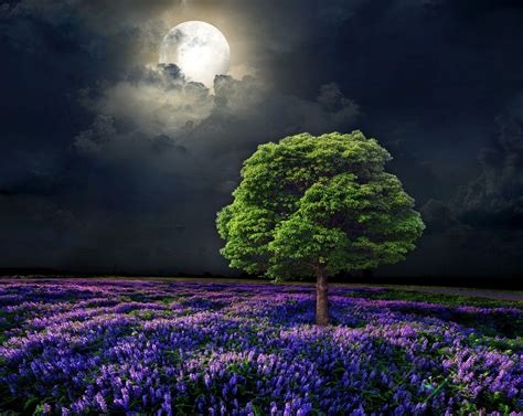 Night Scenery Wallpapers Top Free Night Scenery Backgrounds