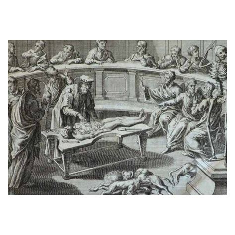 Dissection Postcard Surgeons Hall Museums Shop