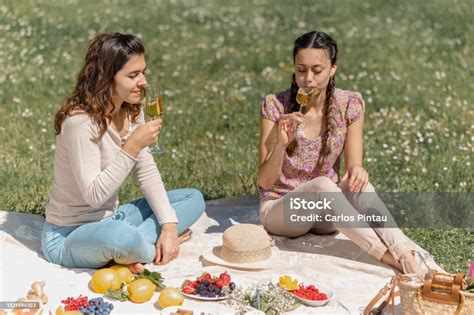 피크닉 중에 화이트 와인 한 잔을 맛보는 과일과 함께 담요 에 앉아있는 두 명의 젊은 여성 소풍 음식에 대한 스톡 사진 및 기타 이미지 Istock
