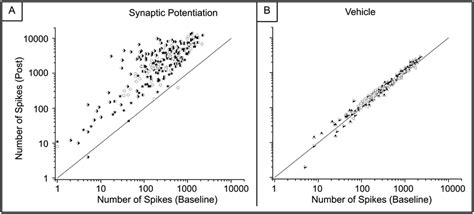 There Is A Persistent Increase In Spiking Activity After Synaptic