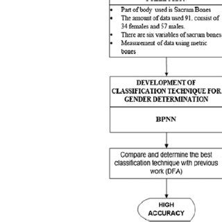 Research Framework Of The Case Download Scientific Diagram