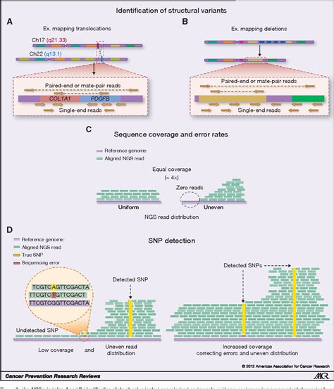 Figure 2 From Key Principles And Clinical Applications Of Next Generation” Dna Sequencing