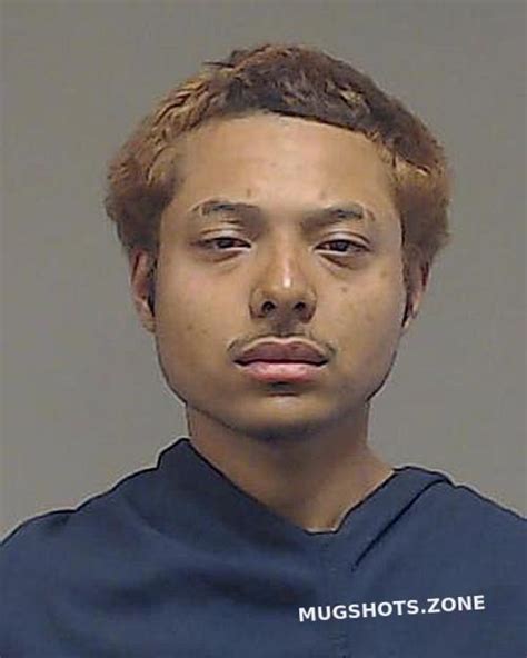 Devora Angel Alba 02 26 2024 Collin County Mugshots Zone