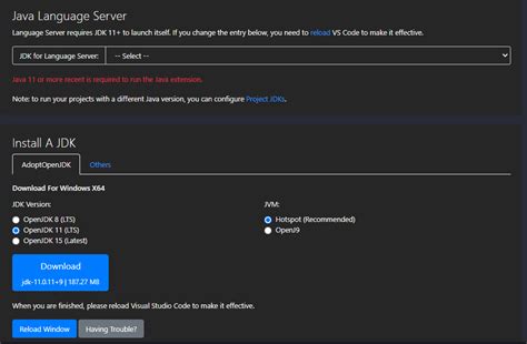 Help Me Plis Issue Microsoft Vscode Java Pack Github