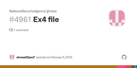 Ex4 File · Issue 4961 · Nationalsecurityagency Ghidra · Github