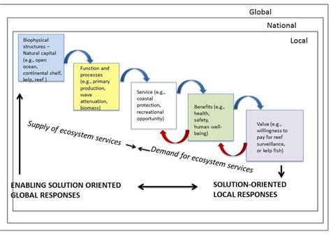 The Flow Of Ecosystem Services At Multiple Scales Adapted From