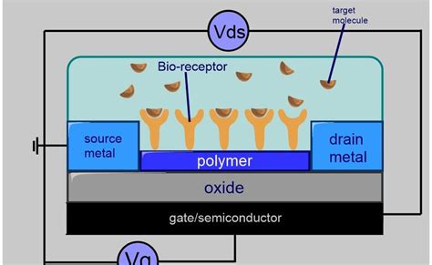 Bio Fet Bio Sensor Mosfet