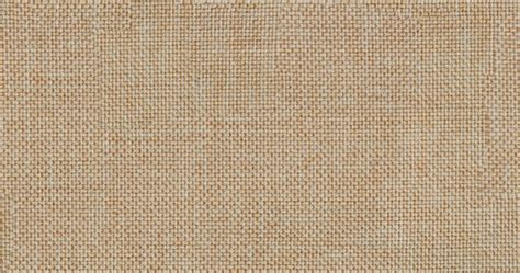 Camels Foot In Semen 54 Photos Sex And Porn