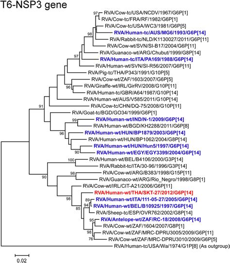 Phylogenetic Tree Constructed From The Nucleotide Sequences Of The Nsp3 Download Scientific