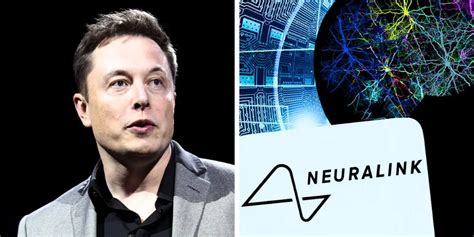 Musks Neuralink Labeled Itself A Small Disadvantaged Business In Federal Filing