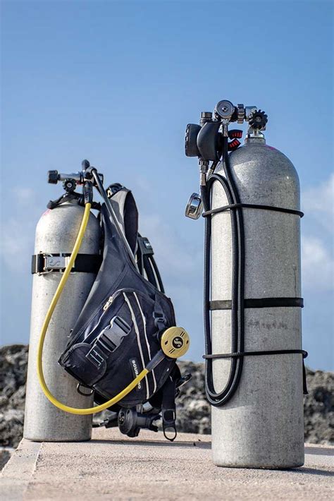 Back Mount Scuba Tank At Madeleine Darbyshire Blog