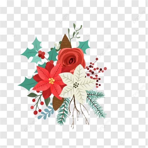 빨간색과 흰색 포인세티아 꽃 솔잎 메리 크리스마스 장식 벡터 포인세티아 인사말 메리 크리스마스 Png 일러스트 및 벡터 에 대한 무료 다운로드 Pngtree