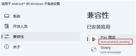 为 Win11 安卓子系统（wsa）内 App 设置桌面快捷方式 秋风于渭水