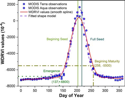 Illustration For The Identification Of Four Critical Phenological