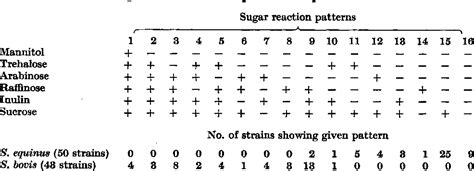 Streptococcus Equinus Semantic Scholar