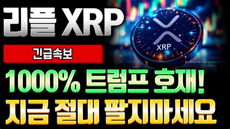 리플 Xrp 트럼프발 1000 상승 호재 지금 절대 팔지마세요 Youtube