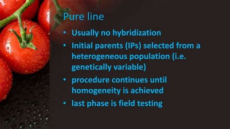 Breeding Principles In Self Pollinated Crops Pptx