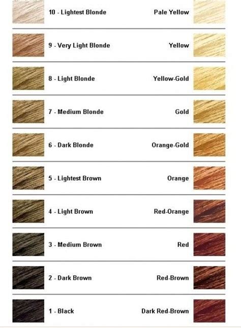 How To Dye Brown Hair Blonde