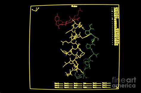 Molecule Of Pancreatic Polypeptide Photograph By Drt Blundell Dept
