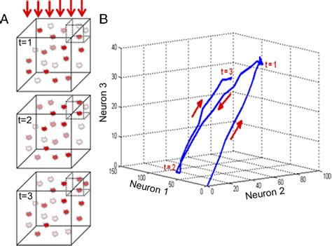 Figure 1 From The Spatiotemporal Structure Of Population Coding In