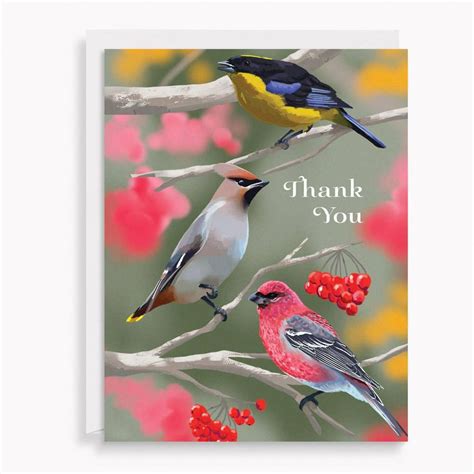 Thank You Notes And Card Sets Paper Source Page 2