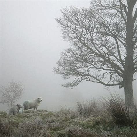 Visualizations Qualitative Figures From The Multi Step Overlap