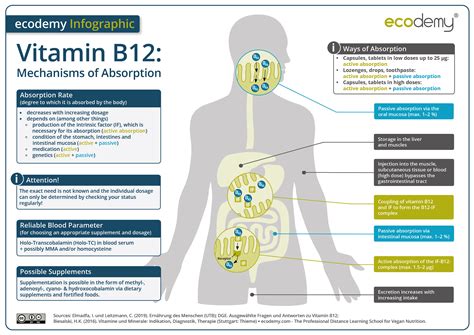 Vitamin B12 Cyanocobalamin Overdose At Annabelle Wang Blog