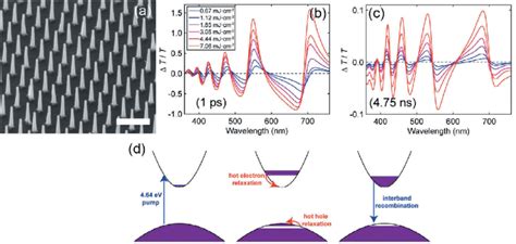 4 a scanning electron micrograph of in 2 o 3 nanorod array b and