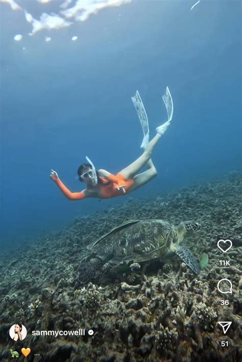 ทั้งสวยงาม ทั้งเซ็กซี่ “แซมมี่ เคาวเวลล์” โชว์สกิลดำน้ำสุดพลิ้วไหวเล่นกับเต่าทะเล