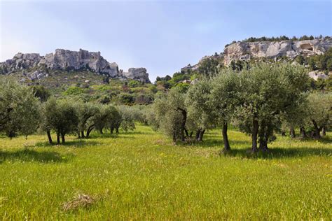 Provence Alpes Côte d Azur Large scale naturist campsite GRAVITAO