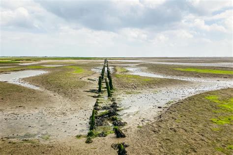 Premium Photo Sand And Water With Wooden Pillar Path And Horizon
