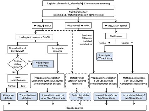 Vitamin B12 Deficiency Workup At Maddison Loch Blog