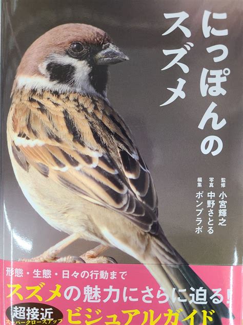 明屋書店川内店 on Twitter そして鳥編 鳥ぐらし 東京書店 見わけがすぐつく野鳥図鑑 成美堂出版 美しい鳴き声が聞こえる