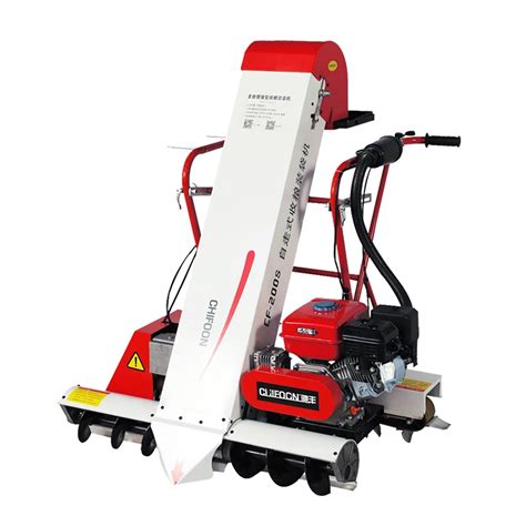 Taiho S Precision Intelligent Nir Sorting Machine Rice And Pine Nut Color Sorter Buy Substrate