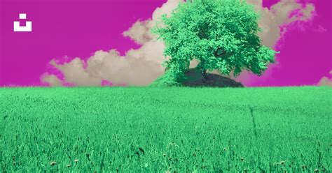 보랏빛 하늘 아래 푸른 들판에 있는 외로운 나무 사진 Unsplash의 무료 녹색 이미지