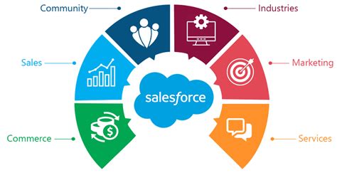 Understanding Salesforce Record Types Easily Updated 2025
