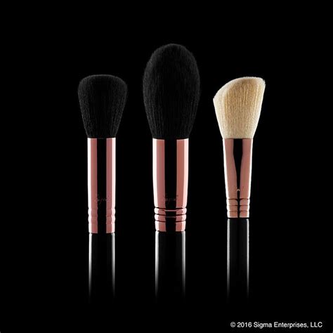 Copper Plated Blushing Babe Brush Set 58