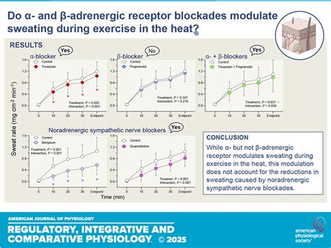 Separate And Combined Blockades Of α And β Adrenergic Receptors In