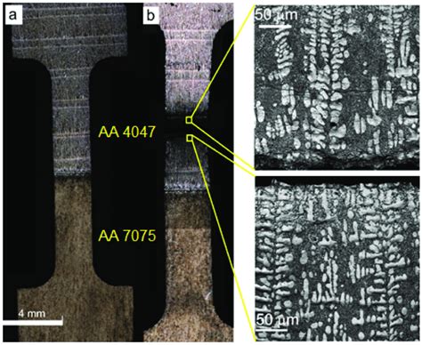 Tensile Sample Before A And After B Fracture With Dendritic Download Scientific Diagram