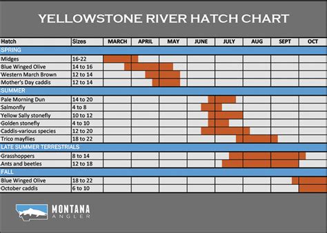 Snake River Wyoming Hatch Chart At Erin Wright Blog