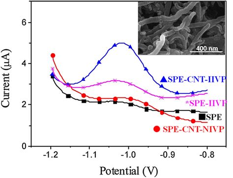dpv output of 3 0 × 10 −5 mol l −1 eu 3 on bare and differently coated
