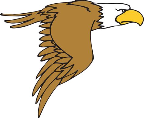 Explore 8075 Free Eagle Flying Illustrations Download Now Pixabay