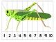 Skip Counting Number Puzzles Insects By Amanda S Babe Learners