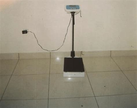 Scale And Stadiometer Download Scientific Diagram