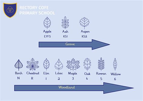 Class Structure Rectory Ce Primary School Class Structure Rectory Ce Primary School